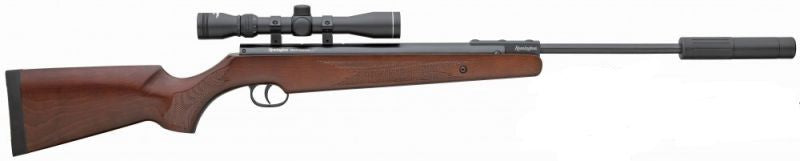 Remington Express XP .22